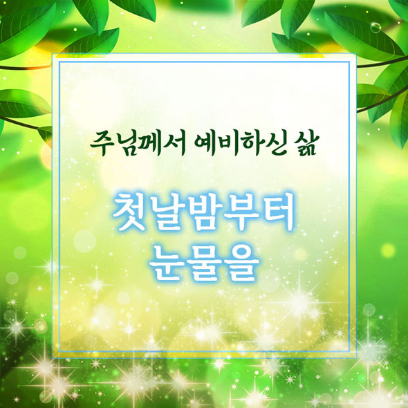 💗「주님께서 예비하신 삶」- 255화. 첫날밤부터 눈물을 : 나주 성모님께 받은 은총 등을 나누는 게시판