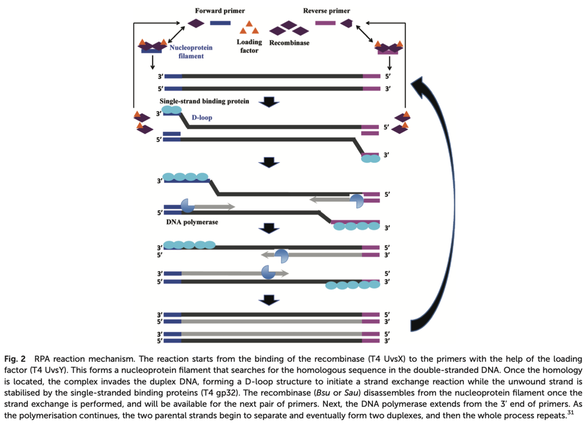 Review :A comprehensive summary of a decade development of the ...