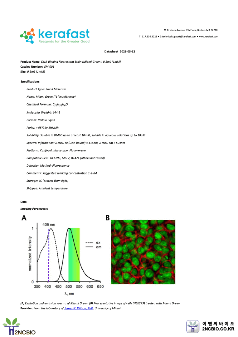 DNA-Binding Fluorescetn Dyes for Real-Time LAMP, PCR etc. : DNA-Binding ...