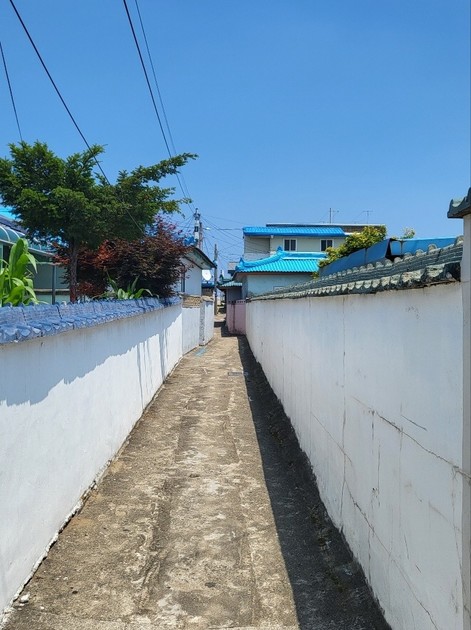 빛과 소금의 묵상 20220628(화) 어찌 그리 사랑스러운지요 [시편 84:1-12] : 빛과소금의 묵상