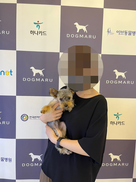 대구 2022 0175 요크셔테리어 깜이 책임분양 사모예드책임분양 스피츠책임분양 시바견책임분양 시베리안허스키책임분양 시츄책임분양 요크셔테리어책임분양 웰시코기책임분양