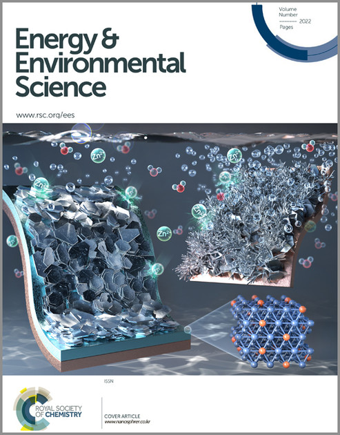 RSC_Energy & Environmental Science : nanosphere.co.kr