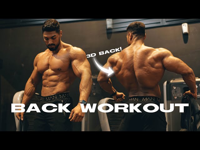 안드레이 데이유 등 Andrei Deiu Back : 프로 훈련법 - 제로투히어로