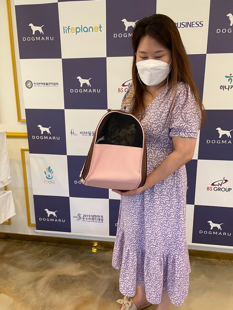 일산 2022 0076 페르시안 루미 책임분양 유기견입양 유기묘입양 강아지입양 소형견입양 중형견입양 대형견입양 말티즈입양 말티푸입양 비숑프리제입양 미니비숑프리제입양