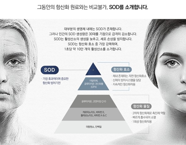 에스오디랩, 독자 기술로 개발한 고함량 'SOD 아이크림' 출시 예정 : SODLAB 공식홈페이지