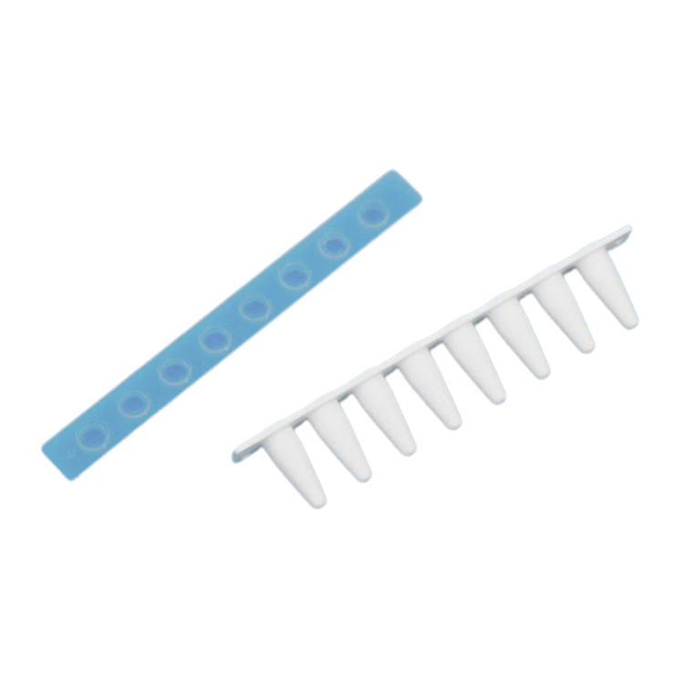 PCR Strips : CHEMCOKOREA 켐코코리아