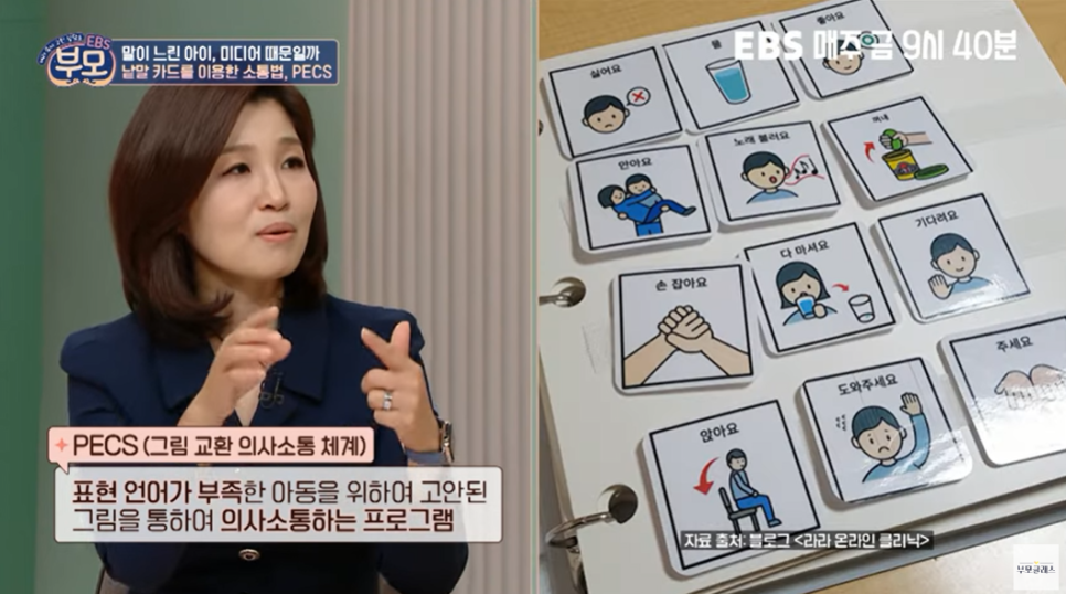 [PECS/AAC ] "PECS 수업을 받고 싶어요!" (자폐스펙트럼/무발화/부모교육/온라인언어치료/EBS육아학교 /EBS부모 ...