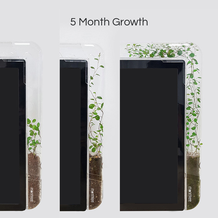 Single Monitree : 모니트리