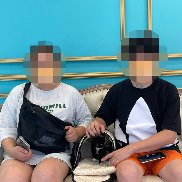 수원 2022 0100 코리안숏헤어 뽀미 책임분양 애완견성격 반려견성격 소형견크기 중형견크기 미니비숑프리제크기 토이푸들크기 골든리트리버크기 래브라도리트리버크기 닥스훈트