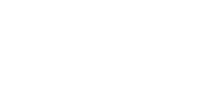 A2G