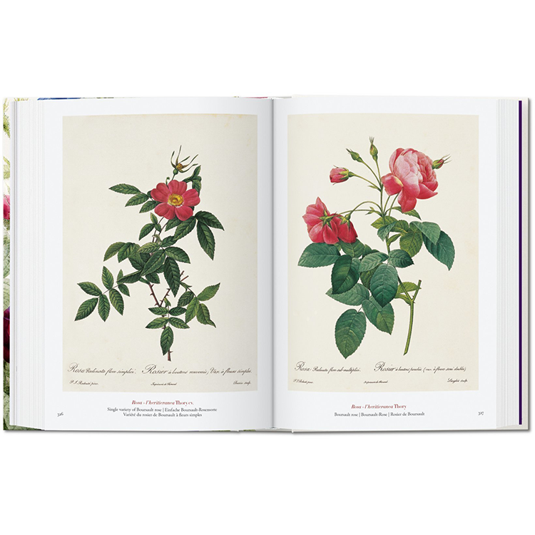 Redoute. The Book of Flowers. 45th Ed. : TASCHEN KOREA