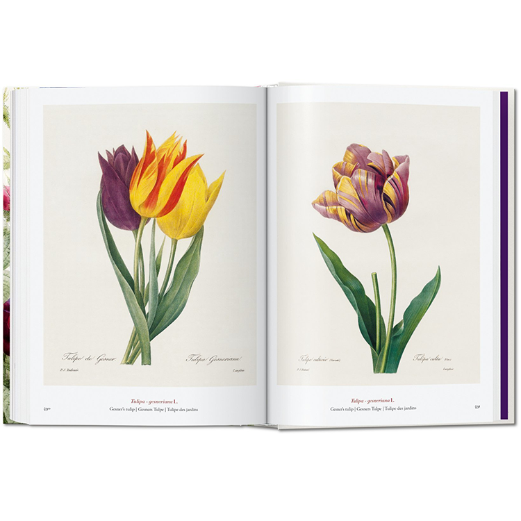 Redoute. The Book of Flowers. 45th Ed. : TASCHEN KOREA