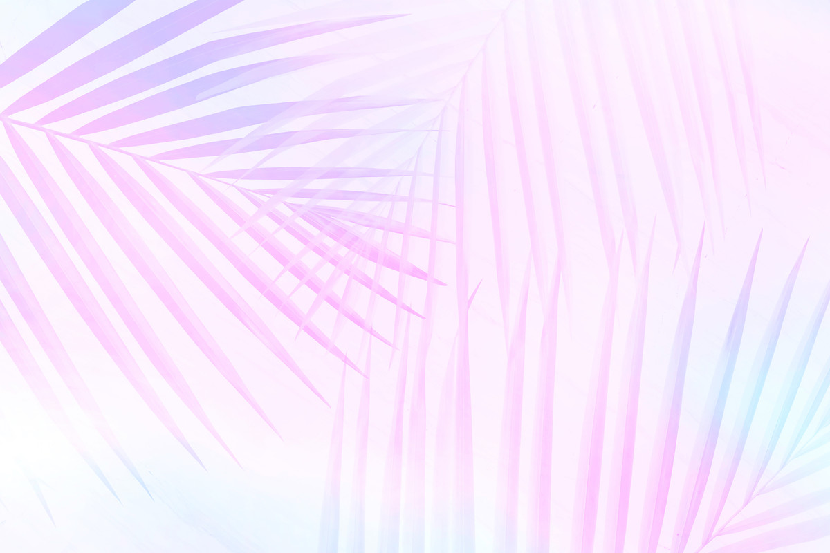 ooffff_52 : 오프갤러리