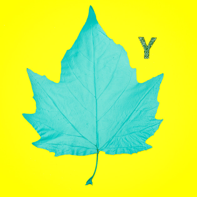 ooffff_20 : 오프갤러리