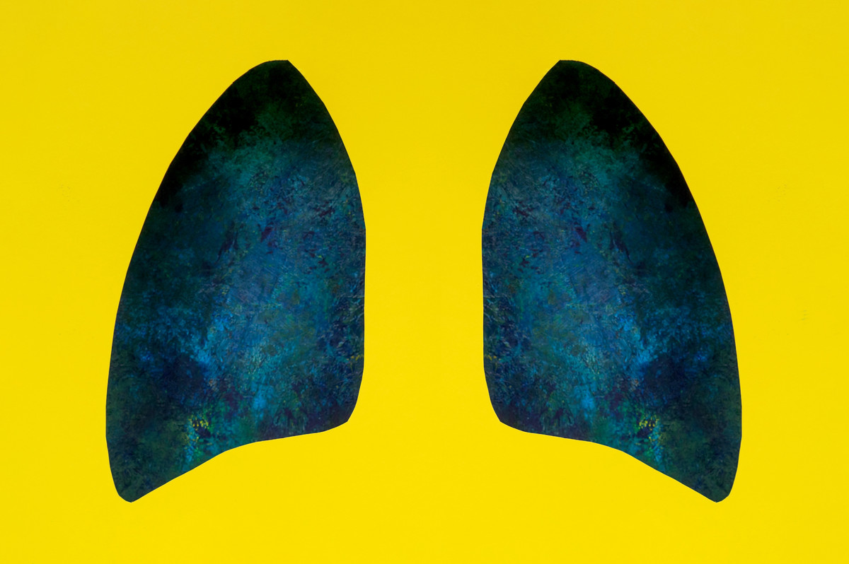 ooffff_50 : 오프갤러리