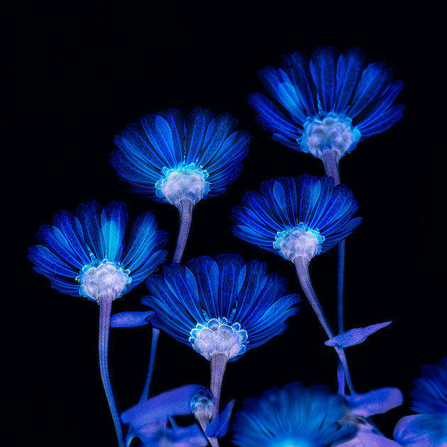 ooffff_23 : 오프갤러리