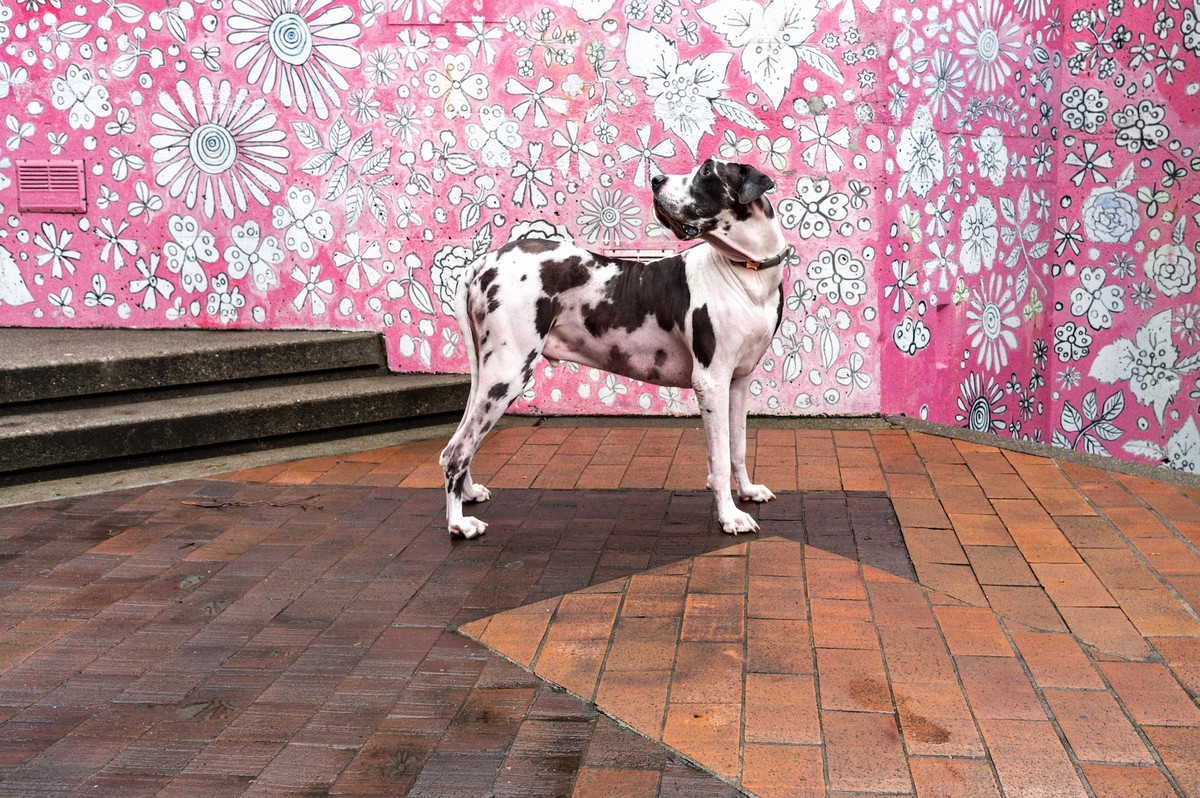 ooffff_45 : 오프갤러리