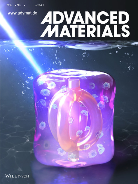 Wiley_ADVANCED MATERIALS : nanosphere.co.kr