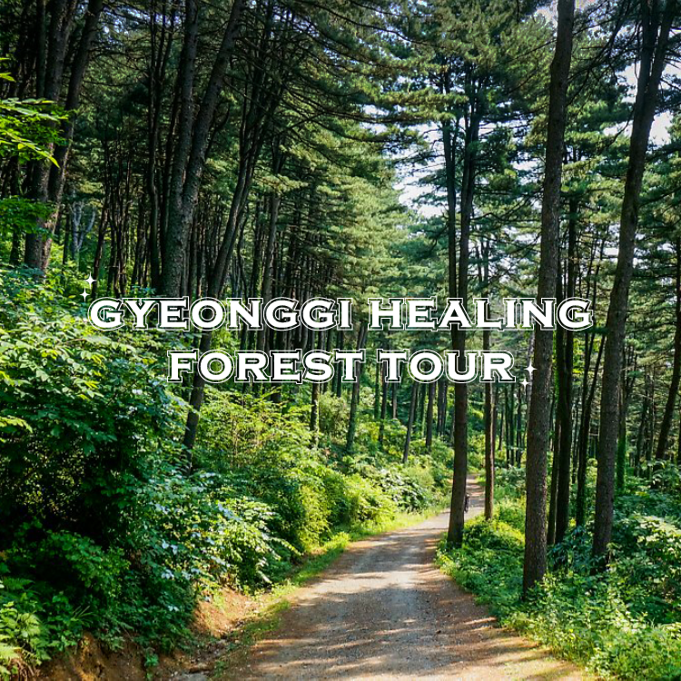 Gyeonggi Healing Forest : Korea Tour Planner