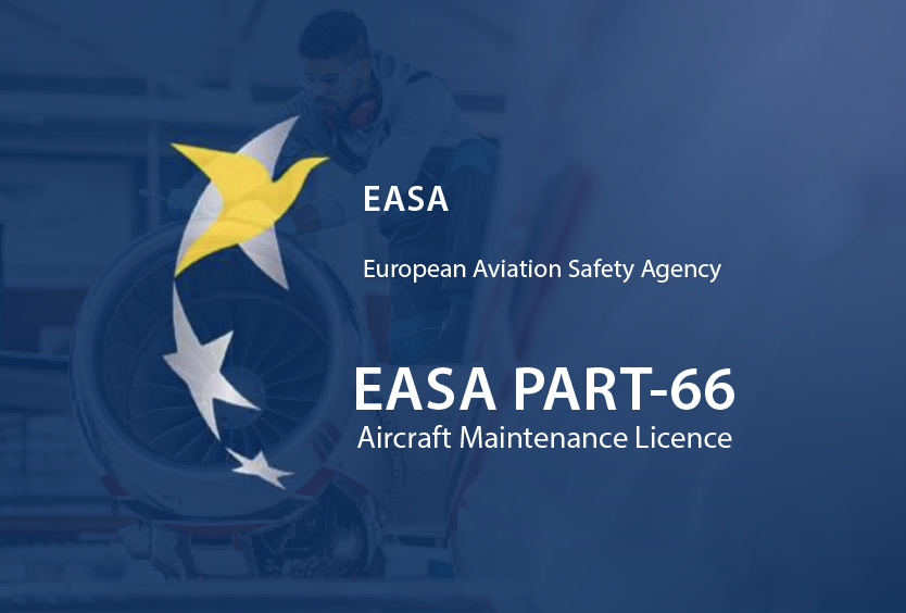 플라잉웨일 에비에이션