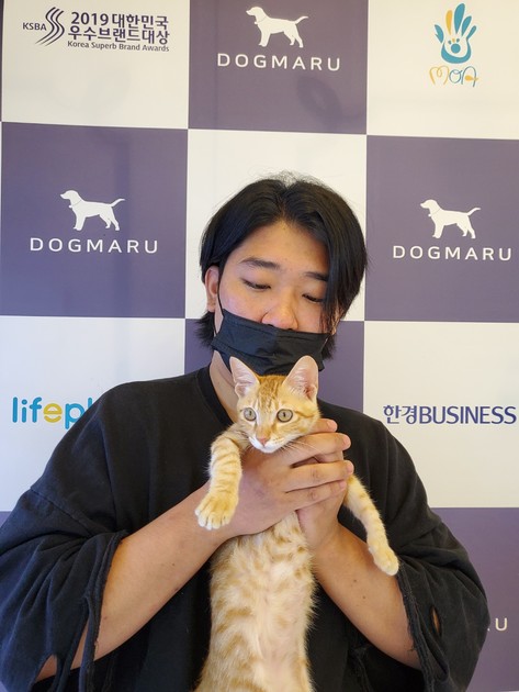 대구 2022 0250 코리안숏헤어 봉식이 책임분양 말티즈크기 말티푸크기 푸들크기 먼치킨크기 랙돌크기 브리티쉬숏헤어크기 스코티쉬폴드크기 러시안블루크기 강아지크기 고양이