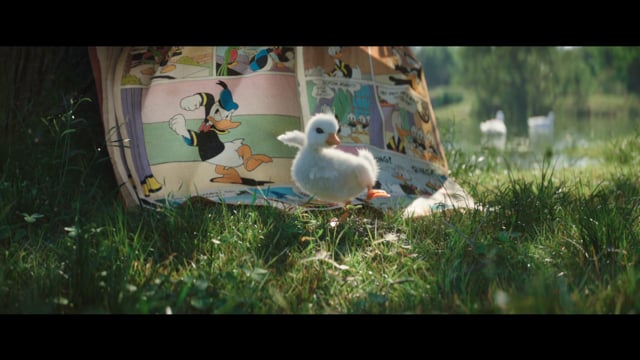 The Andy’s - Disneyland “Little Duck” : REFERENCE