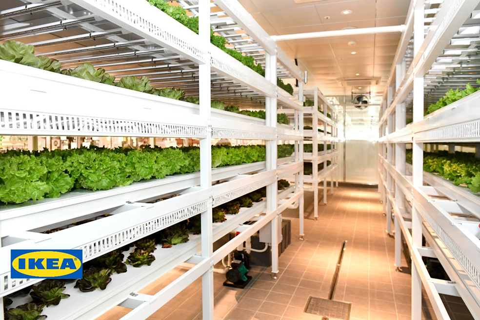 이케아의 전 세계 최초 도심형 농장, 이케아 광명점 ‘파르마레(FARMARE)’ : 함파트너스의 새로운 소식 , 구 함샤우트 두들