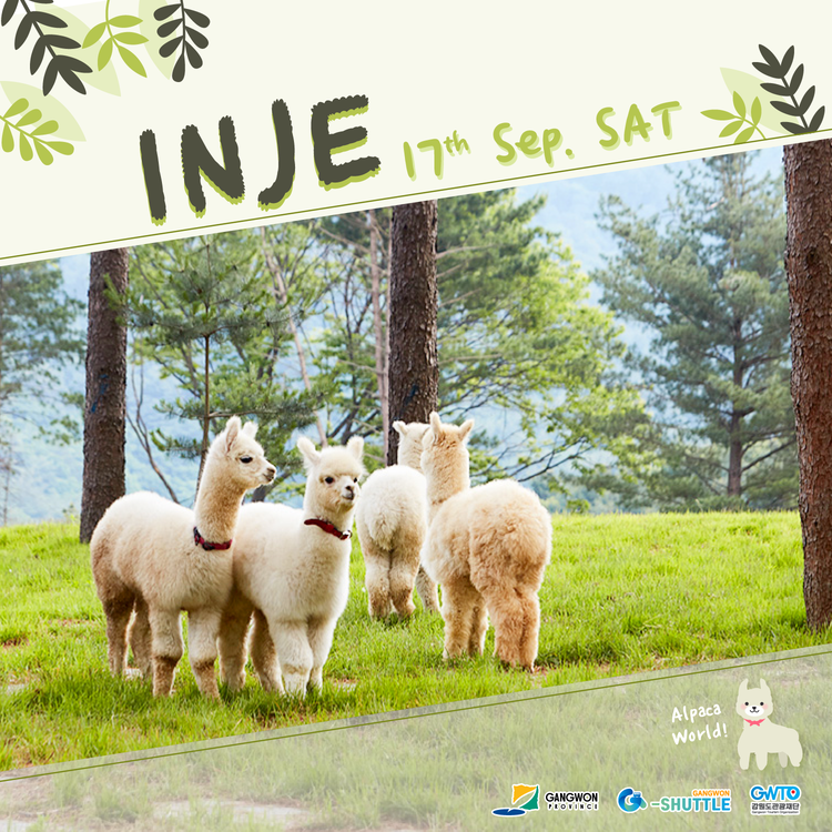 INJE Animal & Musical tour : G SHUTTLE