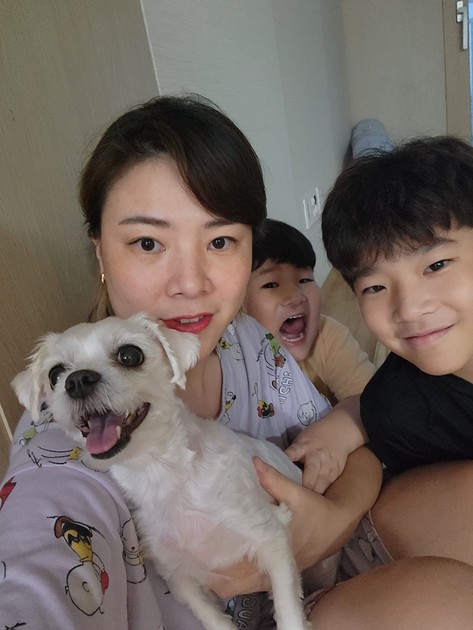 창원 2022 0133 말티즈 밤톨 책임분양 요크셔테리어무료입양사이트 웰시코기무료입양사이트 이탈리아그레이하운드무료입양사이트 치와와무료입양사이트 코카스파니엘무료입양사이트