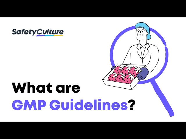 What are GMP Guidelines? | Good Manufacturing Practices for Food Safety ...