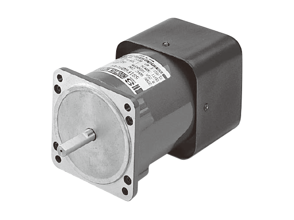 INDUCTION MOTOR : Product