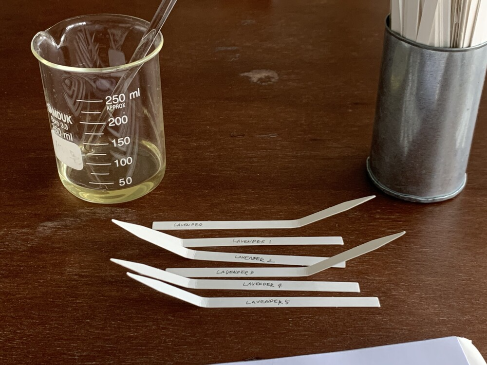 수풀의 시그니쳐 향 'Arbor' : supul