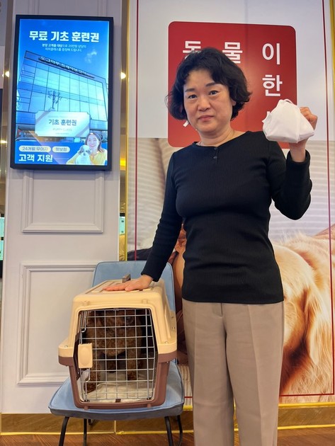 대구 2022 0251 푸들 츄츄 책임분양 사모예드책임분양 스피츠책임분양 시바견책임분양 시베리안허스키책임분양 시츄책임분양 요크셔테리어책임분양 웰시코기책임분양 이탈리아