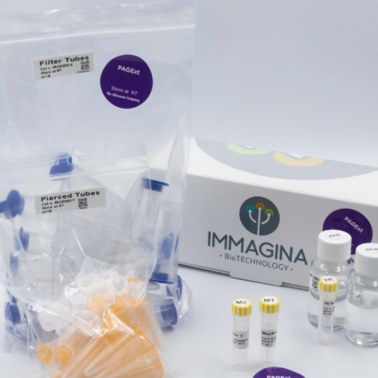 PAGE Gel Extraction Kit - NEW SIZE 24 rxns (12 RNA +12 DNA ...