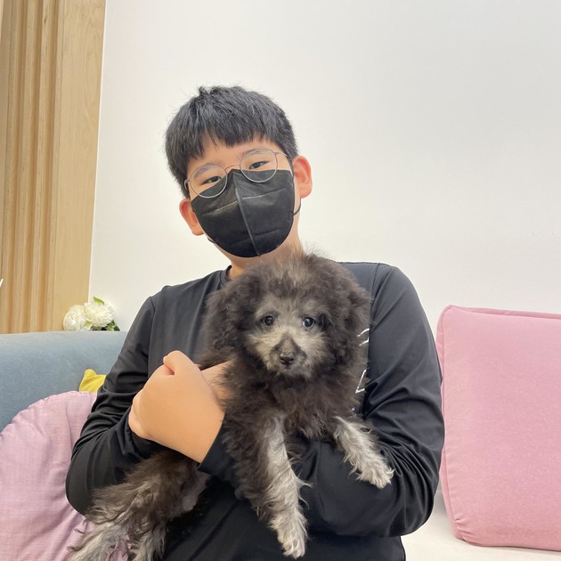 [분양후기] 10-05 실버푸들 분양후기 : 강아지를 진심으로 사랑하는 소녀에서 시작된 브랜드, YOURPET (유어펫) 고객후기