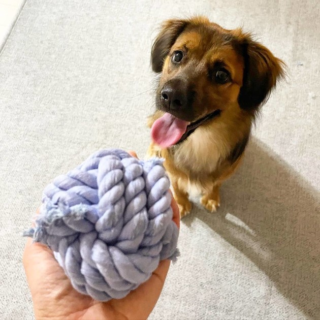 [뚝딱 지음 27호] 지켜보는 난다 - '개춘기'에 대하여 : 청소년인권운동연대 지음