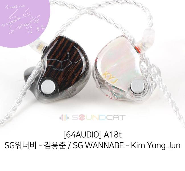 SG워너비(SGwannabe)_ 김용준(Kim Yong Jun)님의 커스텀인이어 / 64AUDIO_A18t : 사운드캣