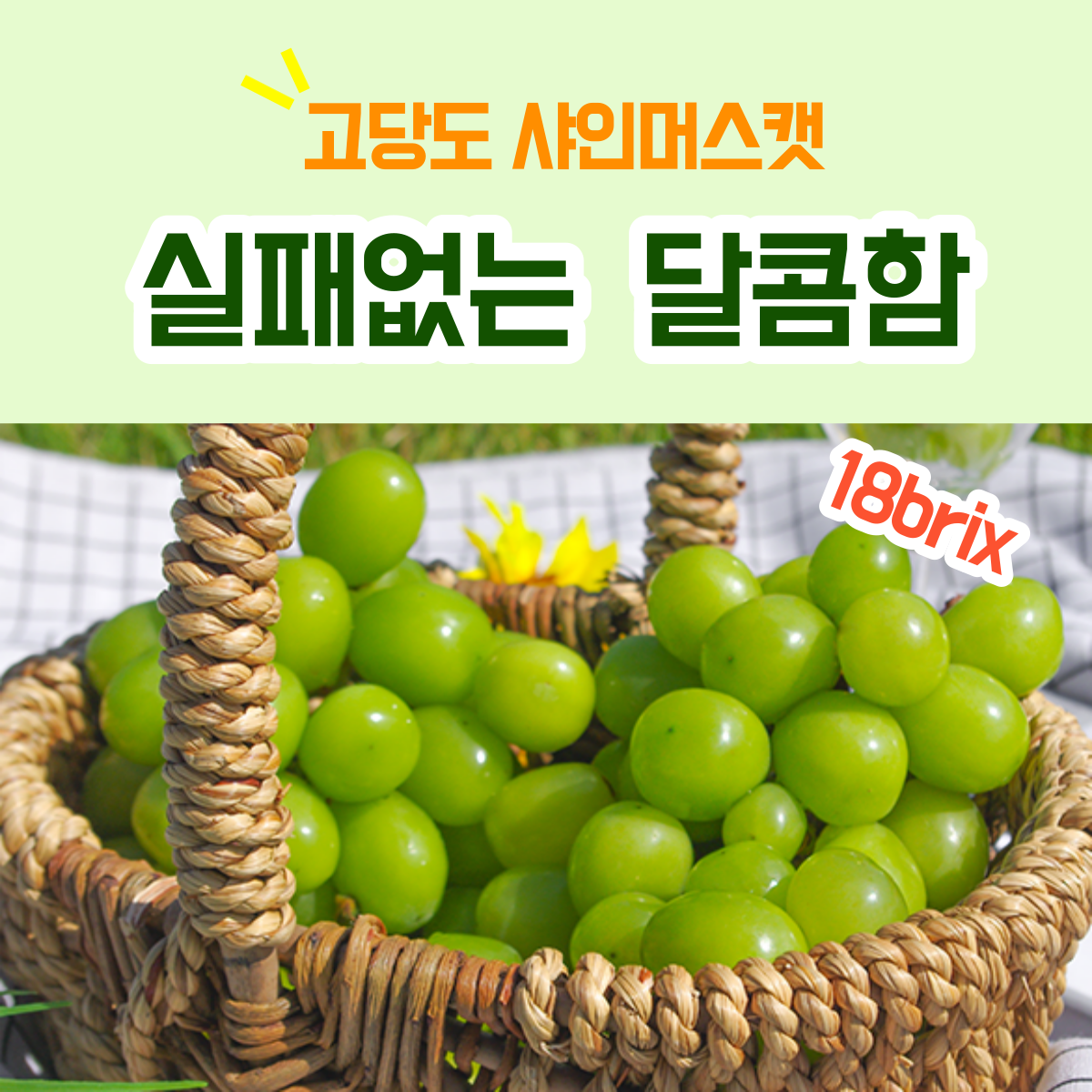 💚기간한정 20% 할인💚 18brix 달콤한 샤인머스캣 2kg : 바이썸몰