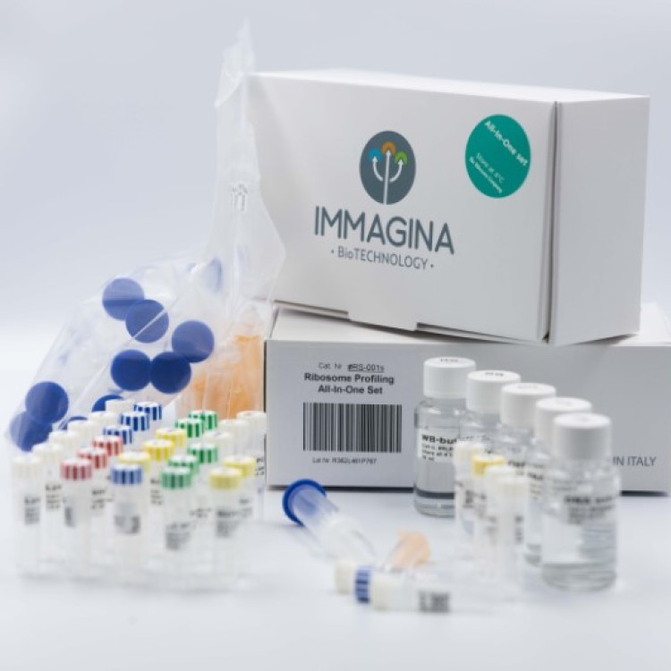 ribosome-profiling-all-in-one-set-new-size-12-rxns-chemcokorea