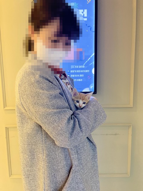 창원 2022 0148 하이브리드묘 치즈 책임분양 하이랜드폴드책임분양 애완견책임분양 반려견책임분양 소형견키우는방법 중형견키우는방법 대형견키우는방법 미니비숑프리제키우는방법