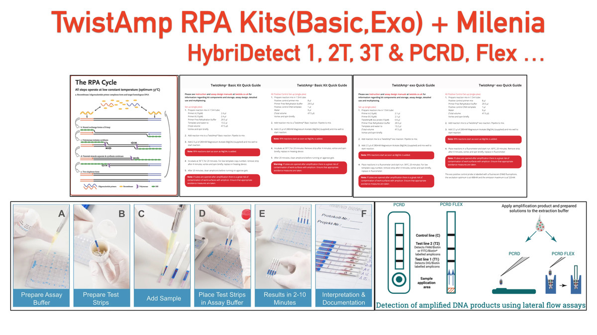 TwistAmp® nfo Kit ----> TwistAmp Exo kit로 도전해보세요 : Recomninase ...