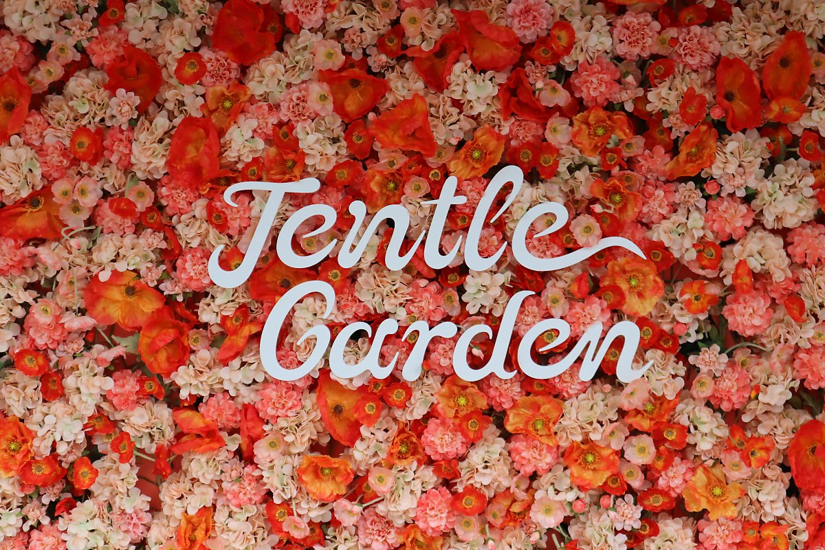 젠틀몬스터 X 제니 [Jentle Garden] : 라이프스타일