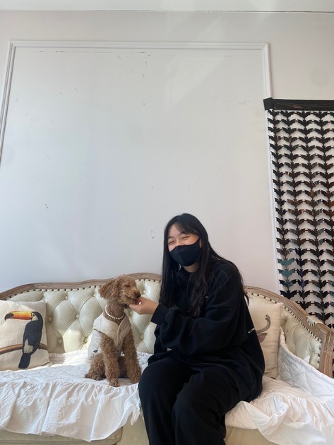 안산 2022 0089 푸들 다롱이 책임분양 샴입양 셀커크렉스입양 스코티쉬폴드입양 스핑크스입양 아메리칸숏헤어입양 아비시니안입양 터키시앙고라입양 페르시안입양 애완견입양