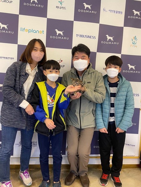 일산 2022 0096 코리안숏헤어 똥똥이 책임분양 말티즈크기 말티푸크기 푸들크기 먼치킨크기 랙돌크기 브리티쉬숏헤어크기 스코티쉬폴드크기 러시안블루크기 강아지크기 고양이