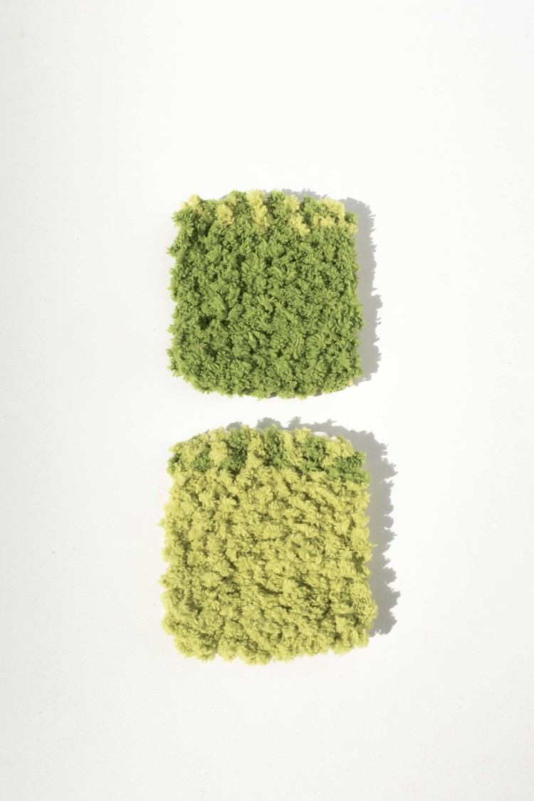 Forest Coaster : supul