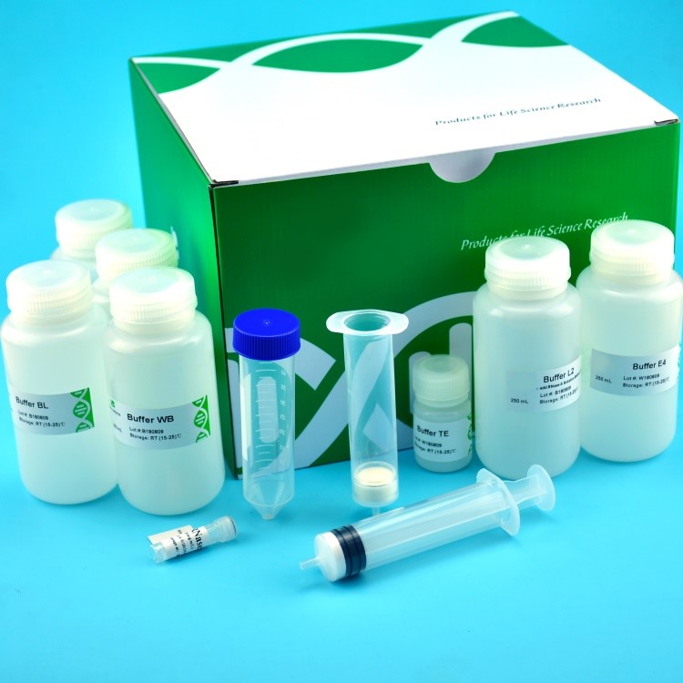 Plasmid Preparation Kit (Anion-exchange) : CHEMCOKOREA 켐코코리아
