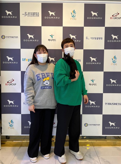 대구 2022 0300 코리안숏헤어 심바 책임분양 프렌치불독크기 빠삐용크기 파피용크기 사모예드크기 스피츠크기 시바견크기 시베리안허스키크기 시츄크기 요크셔테리어크기