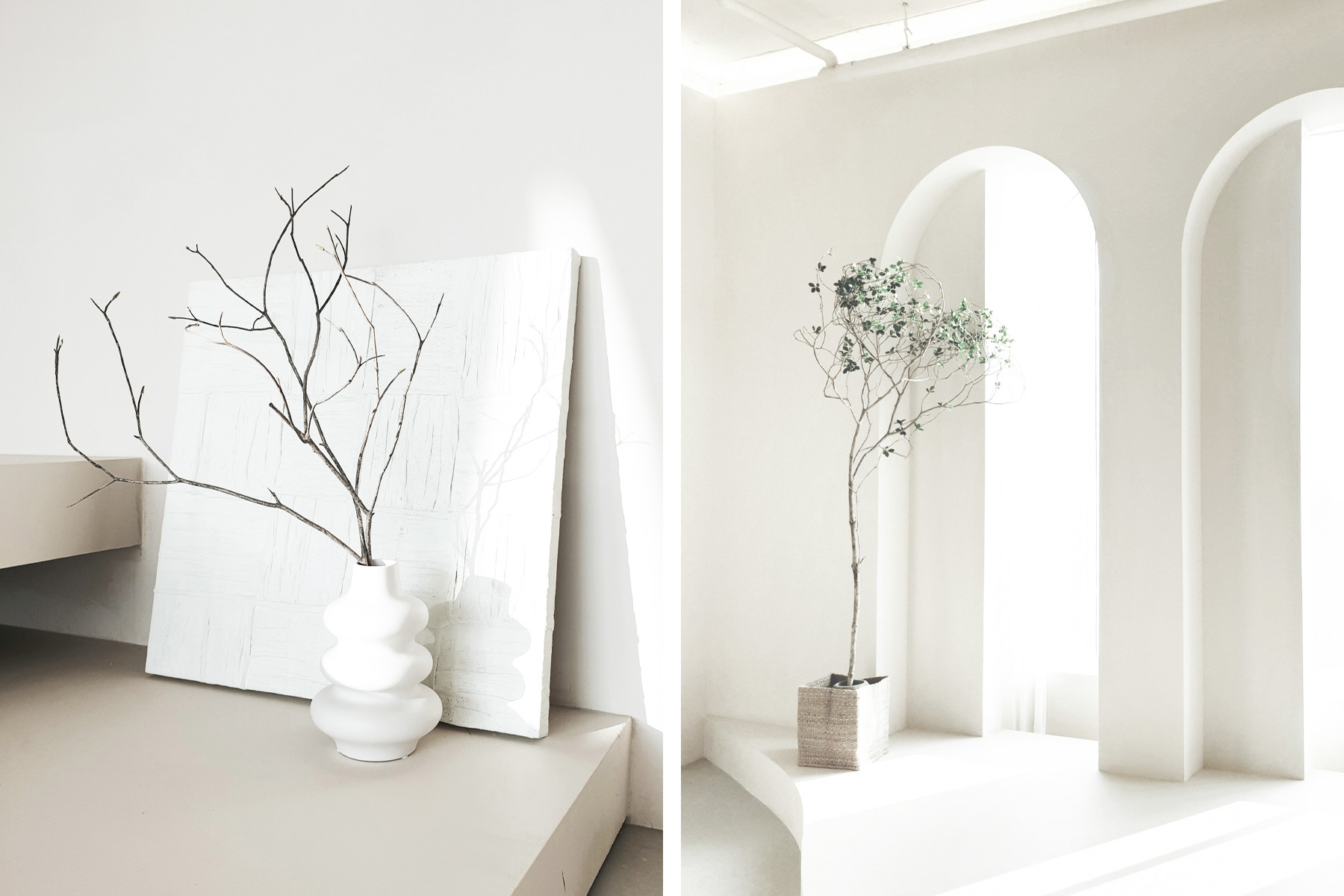 Jaily studio