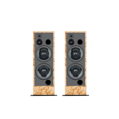 [ATC] SCM 300 ASLT (YEW/Burr Poplar) : audio speaker