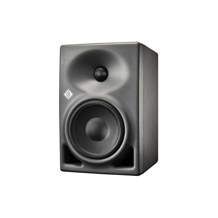 Neumann KH120A Grey 노이만 스피커